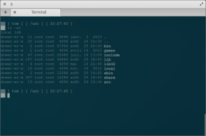 Terminal - elementary OS